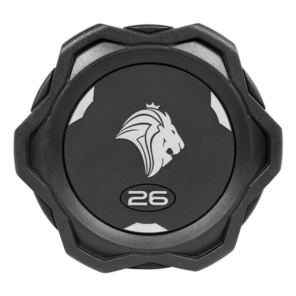 Par De Dumbbells 26kg Lion Monobloco Em Aço Maciço Injetado